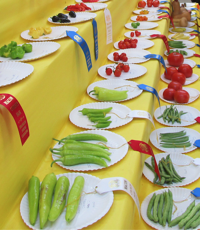 Exhibiting Fruits & Vegetables at the Macon County Fair | N.C ...