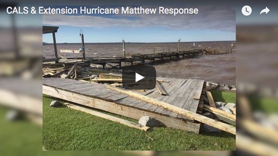 Extension and CALS Administration Storm Recovery Message | NC State Extension