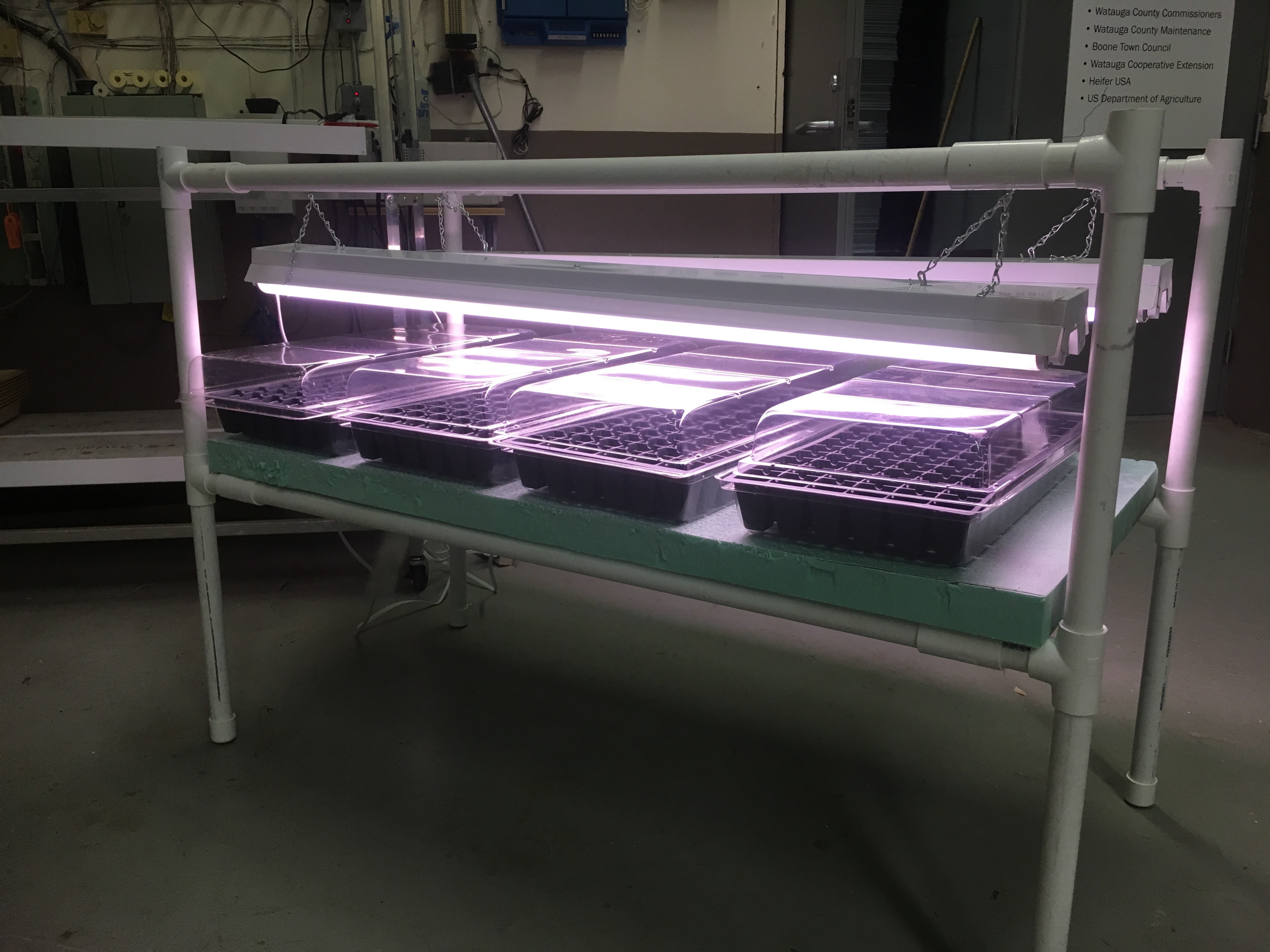 Hands-on Indoor Seed Starting Workshop | North Carolina Cooperative ...