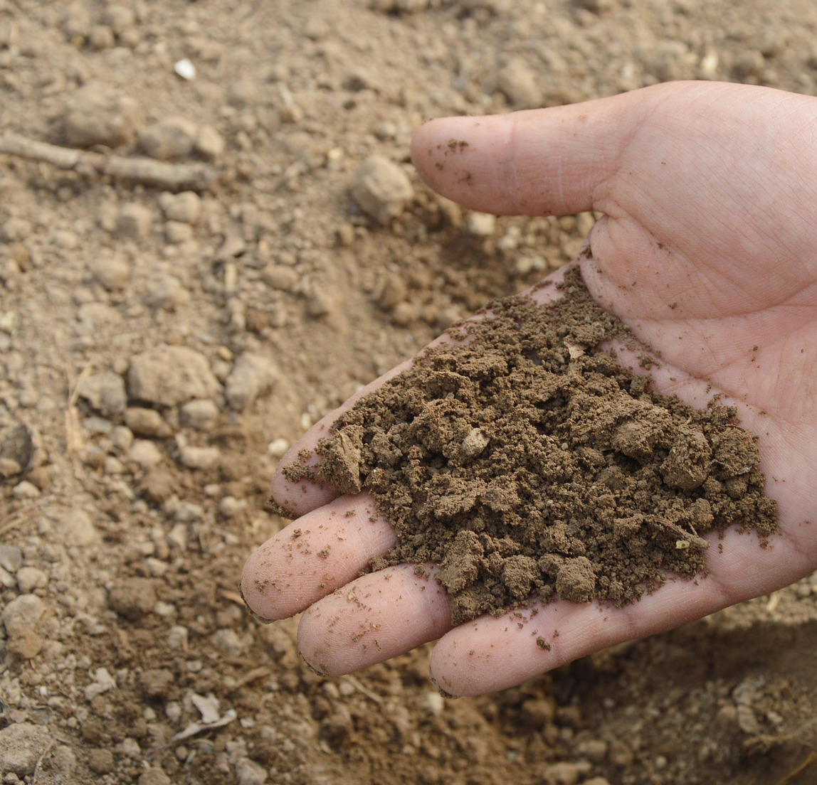 Soil Testing for Lawns and Garden | N.C. Cooperative Extension