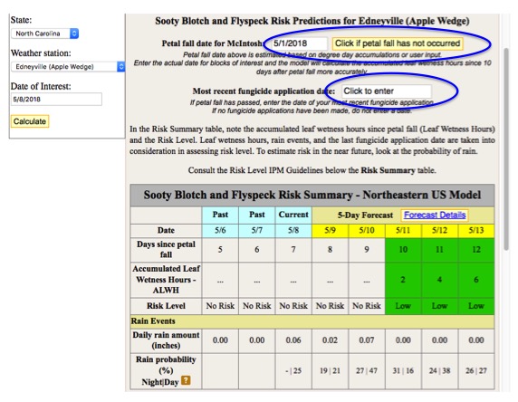 Sooty Blotch and Flyspeck Disease Outlook | NC State Extension