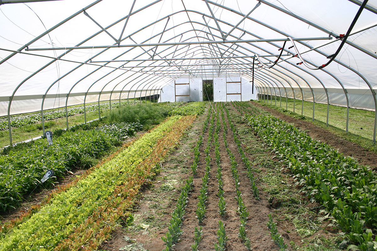 Hurricane Preparedness for Producers of Horticultural Crops | NC State ...