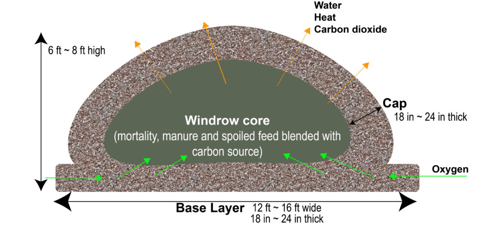 Mass Mortality Composting | NC State Extension