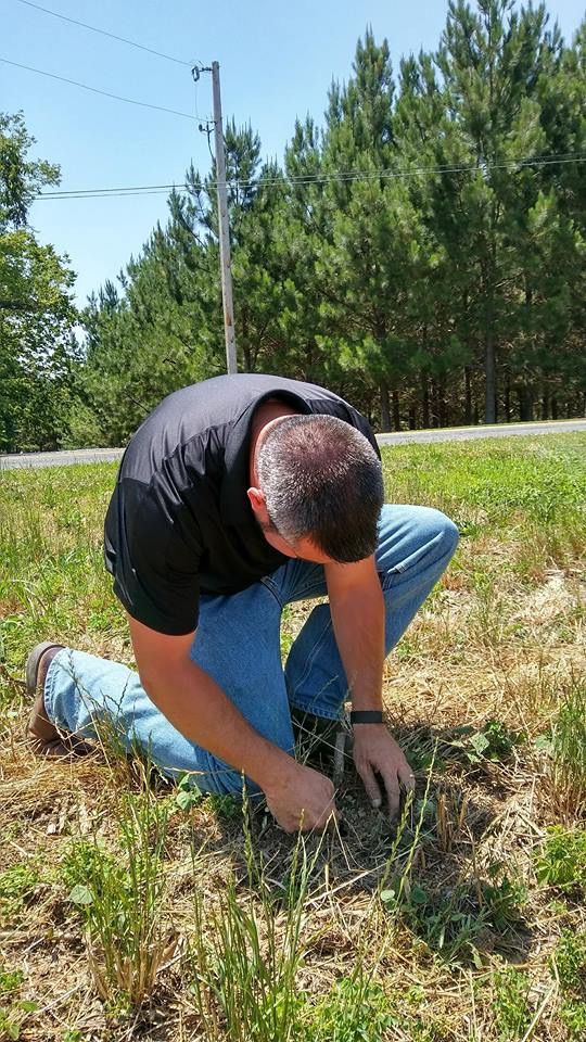 Growing Plants for Biodiversity on the Farm- 2018 Project | N.C ...