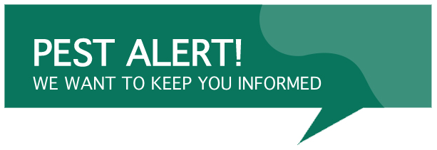 Pest Alerts! | N.C. Cooperative Extension