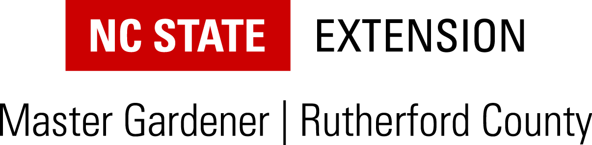 Extension Showcase: 4-H Mini Gardens | NC State Extension