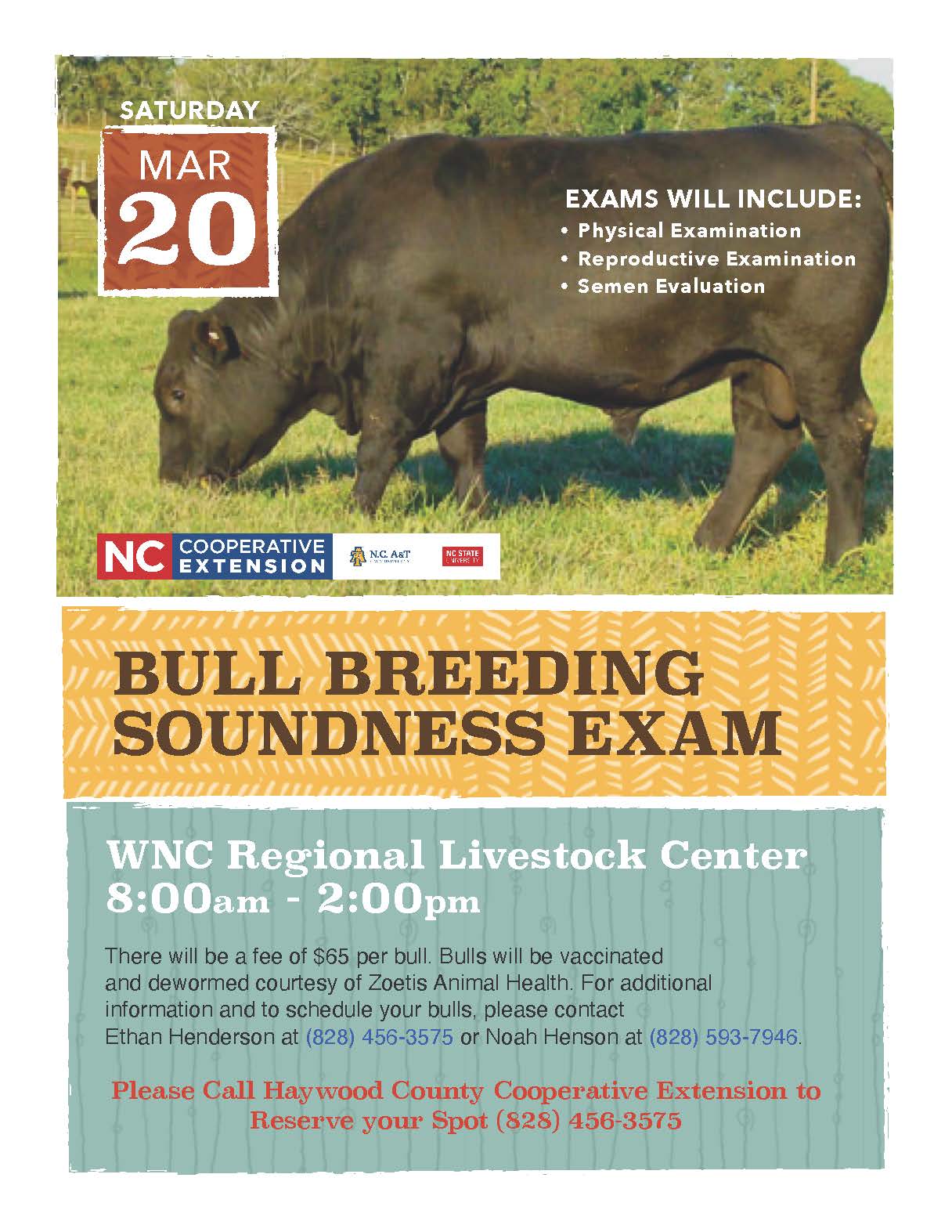 Bull Breeding Soundness Exam | N.C. Cooperative Extension