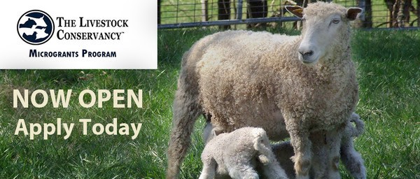 The Livestock Conservancy: 2021 Microgrant Applications Now Open | N.C ...