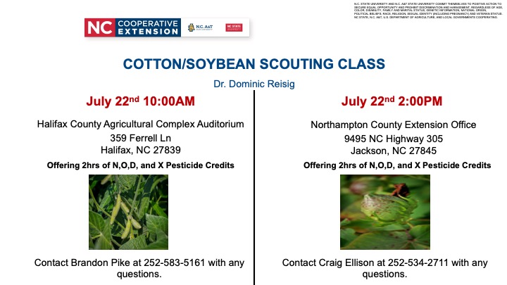 Cotton/Soybean Scouting School | N.C. Cooperative Extension