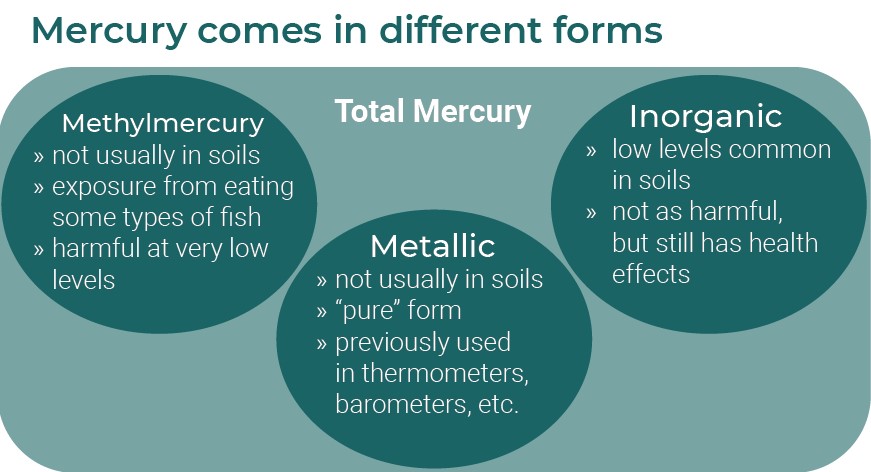 Mercury in the Garden | NC State Extension
