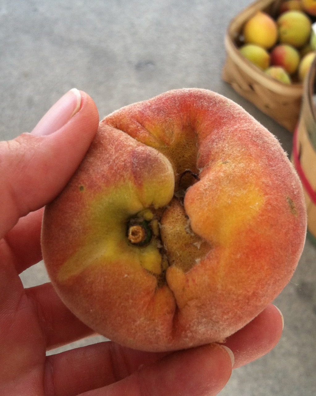 Postharvest Produce Guide – Peaches | NC State Extension