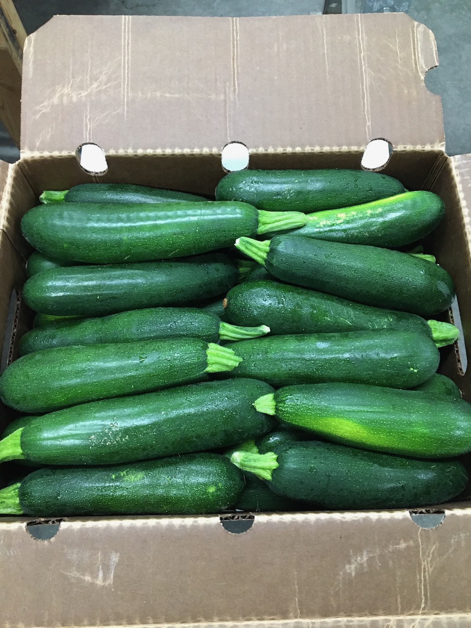 Postharvest Produce Guide – Summer Squash | NC State Extension