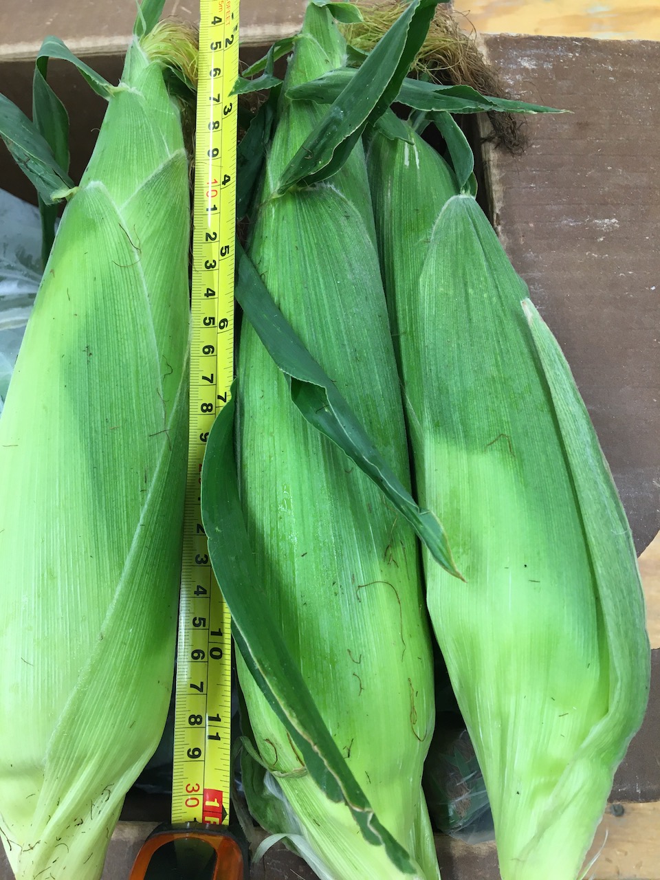 Postharvest Produce Guide – Sweet Corn | NC State Extension