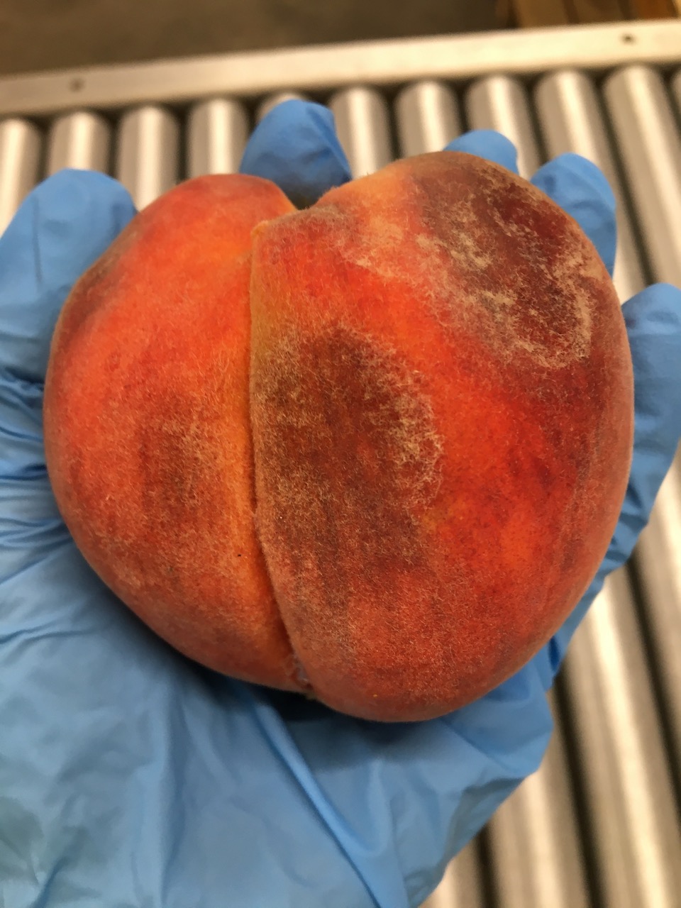 Postharvest Produce Guide – Peaches | NC State Extension