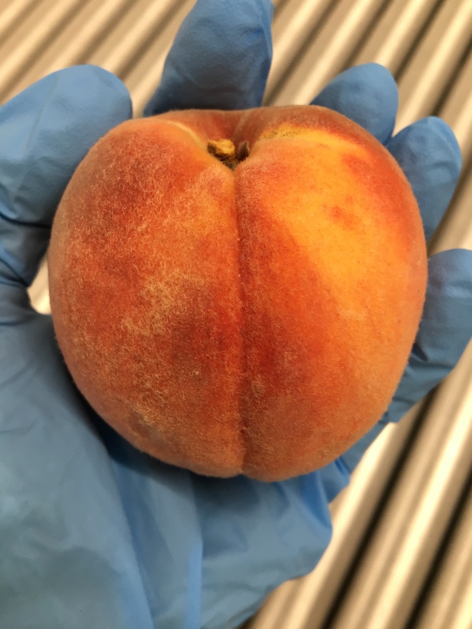 Postharvest Produce Guide – Peaches | NC State Extension