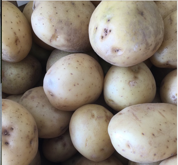 Postharvest Produce Guide – Potato | NC State Extension