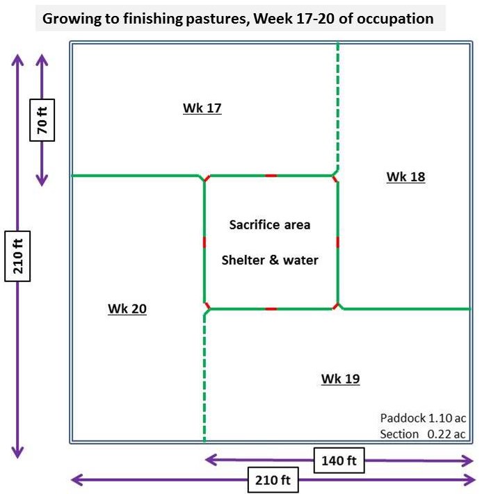 Designing Pasture Subdivisions for Practical Management of Hogs | NC ... Designing Pasture Subdivisions for Practical Management of Hogs | NC ...