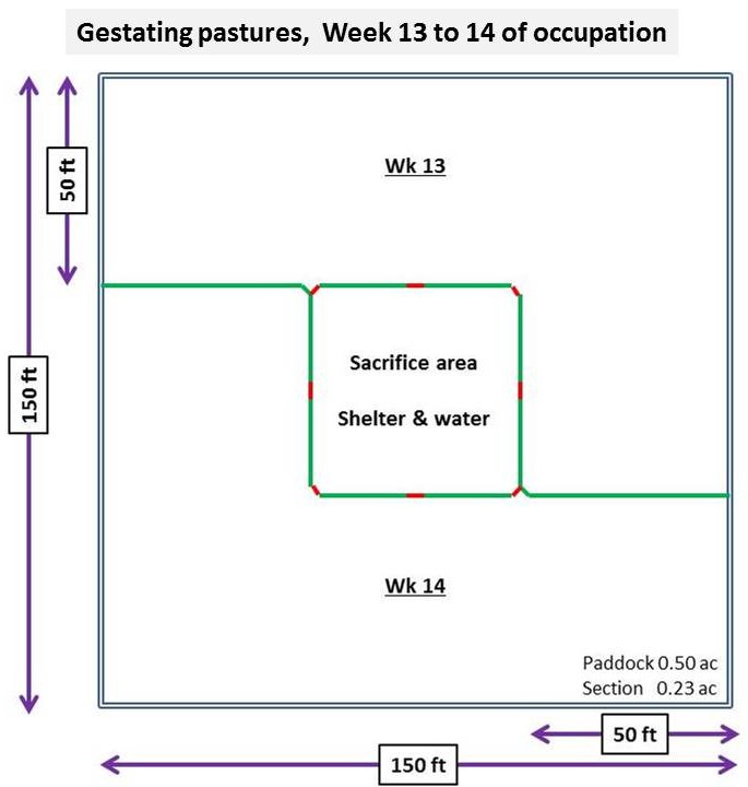 Designing Pasture Subdivisions for Practical Management of Hogs | NC ... Designing Pasture Subdivisions for Practical Management of Hogs | NC ...