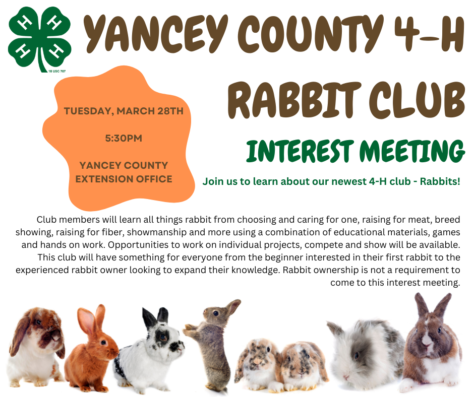 New 4-H Rabbit Club! | N.C. Cooperative Extension