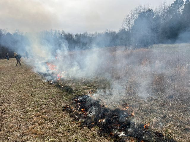 Triangle Prescribed Burn Association | N.C. Cooperative Extension