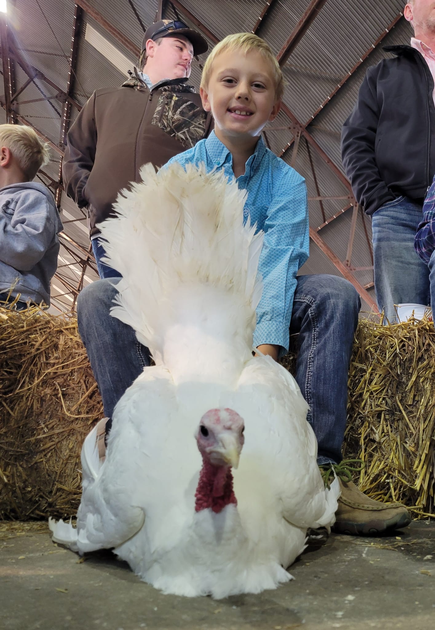 2024 Youth Market Turkey Show | N.C. Cooperative Extension