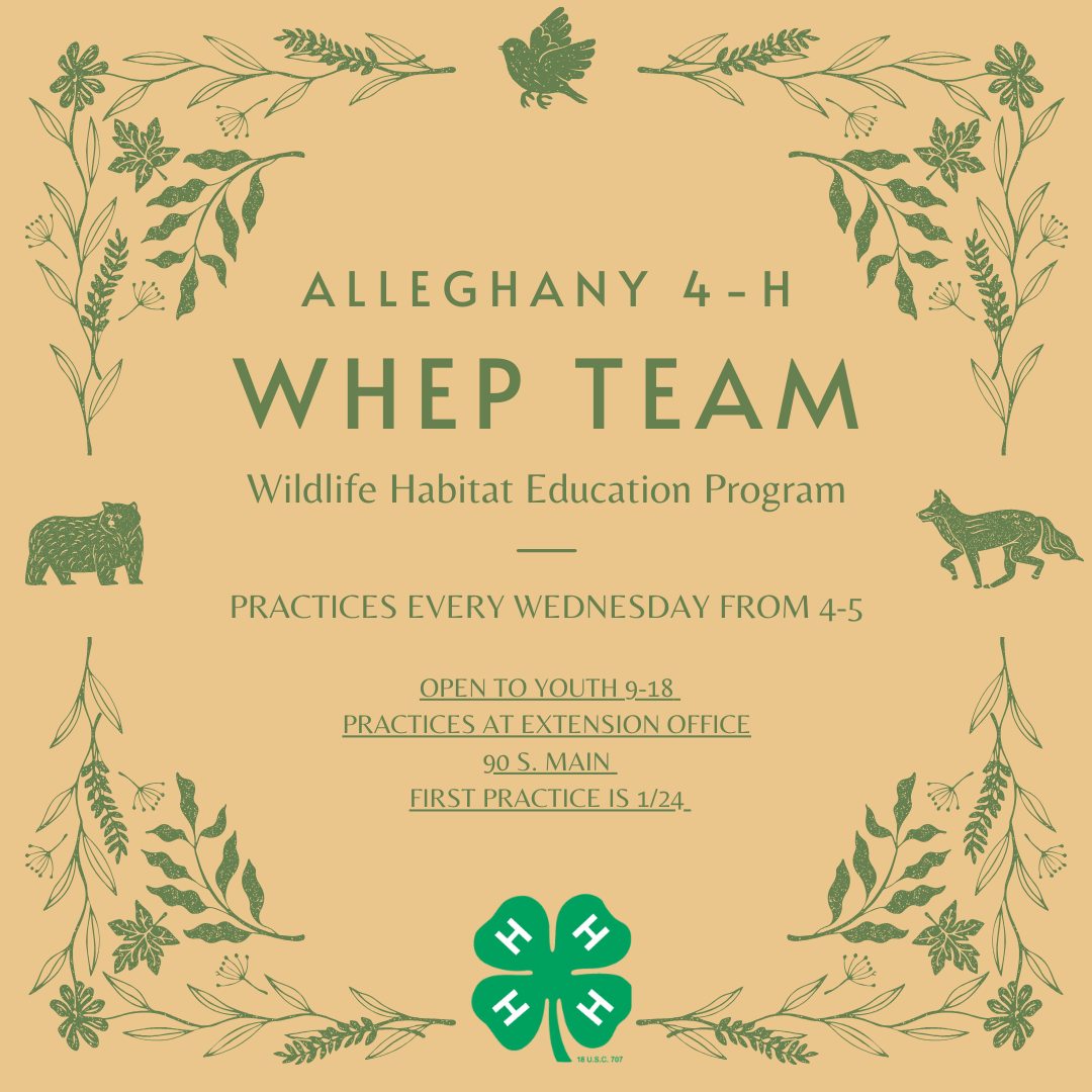 2024 Alleghany 4-H WHEP Teams | N.C. Cooperative Extension