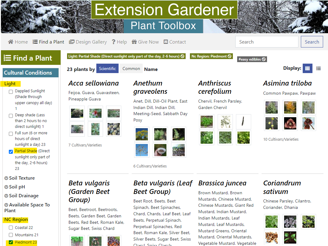 New “Easy Edibles” Tag in the Extension Gardener Plant Toolbox | NC ...