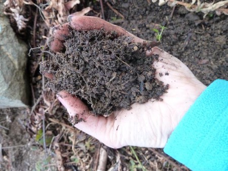 Composting Class for Home Gardeners | N.C. Cooperative Extension