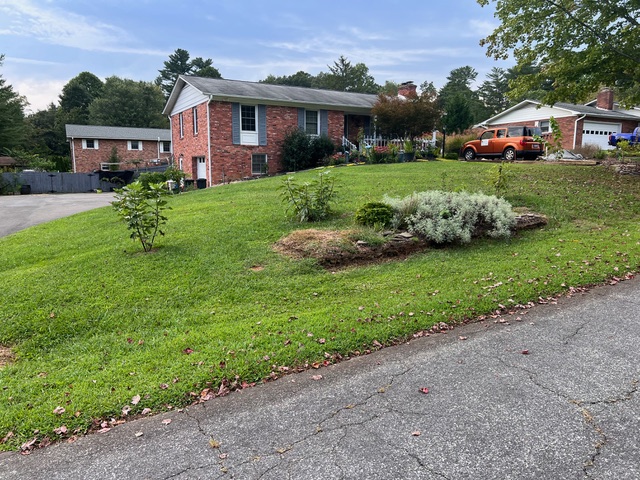 Turning Your Lawn Into a Meadow | N.C. Cooperative Extension