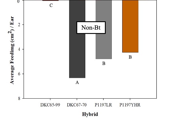 Maximizing Corn Yields Bt Vs Non Bt Hybrids In Statewide Large Plot