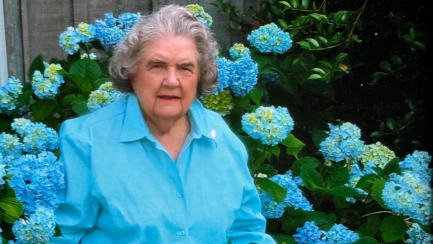 A New Agricultural Marketplace Will Enhance Extension’s Mission in Lee ...