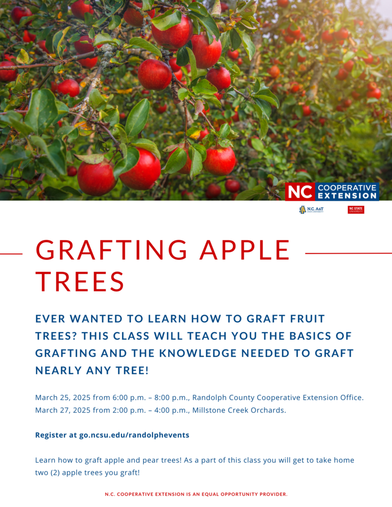 Grafting Apple Trees | N.C. Cooperative Extension