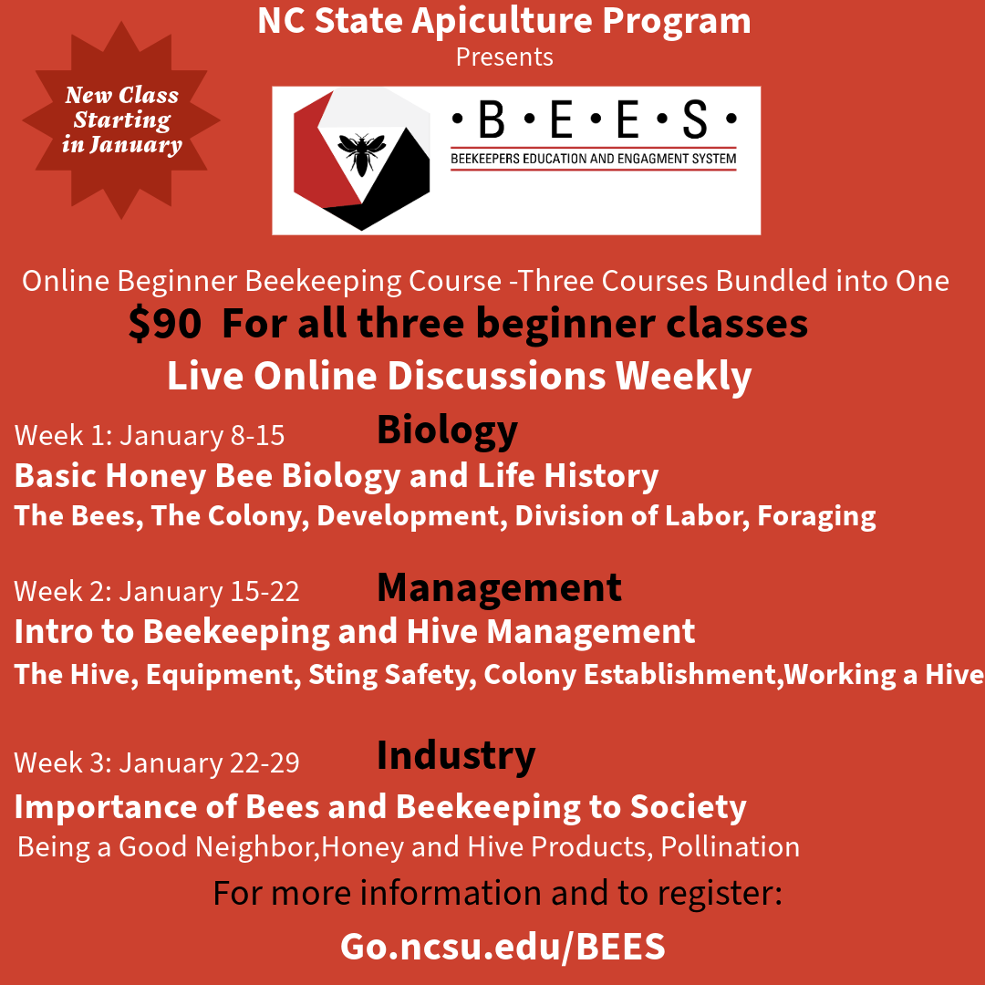 2025 Online BEES School Starting in January | NC State Extension