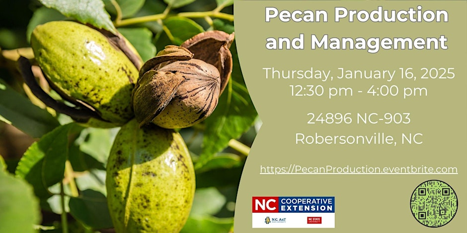 Pecan Production and Management | N.C. Cooperative Extension