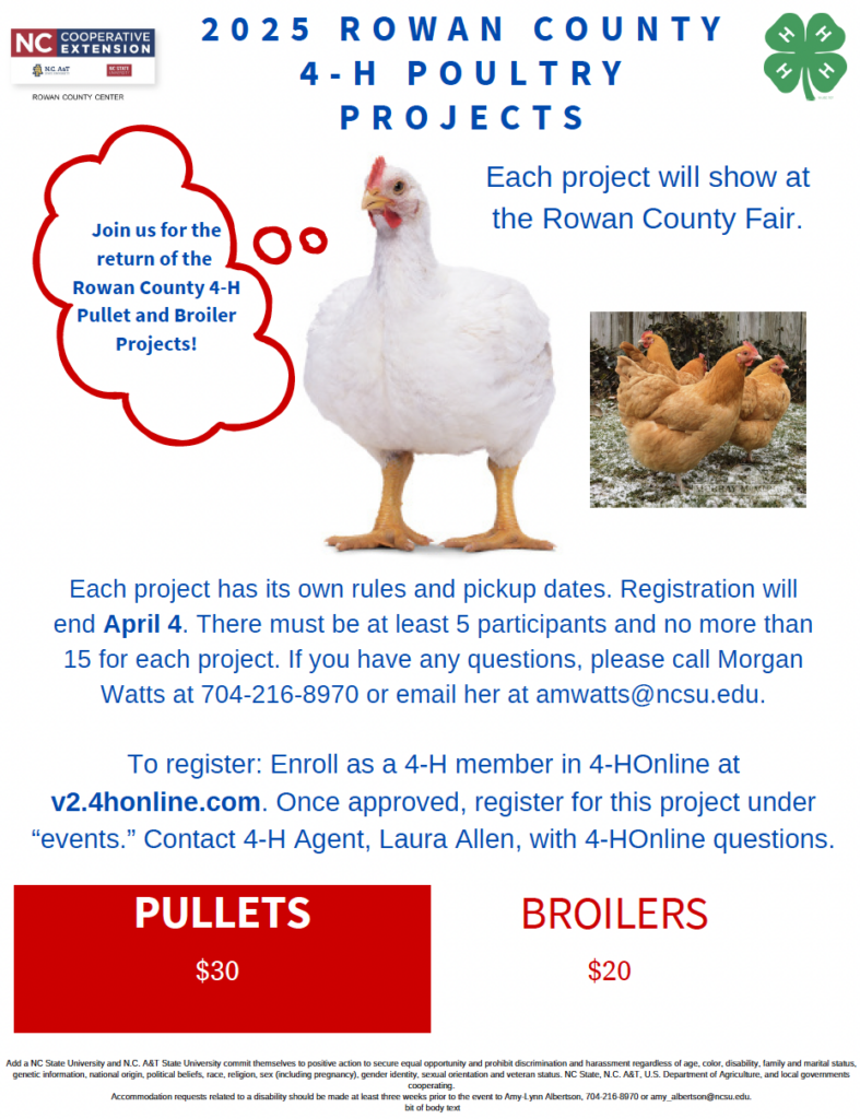 Rowan County 4-H Pullet & Broiler Projects | N.C. Cooperative Extension